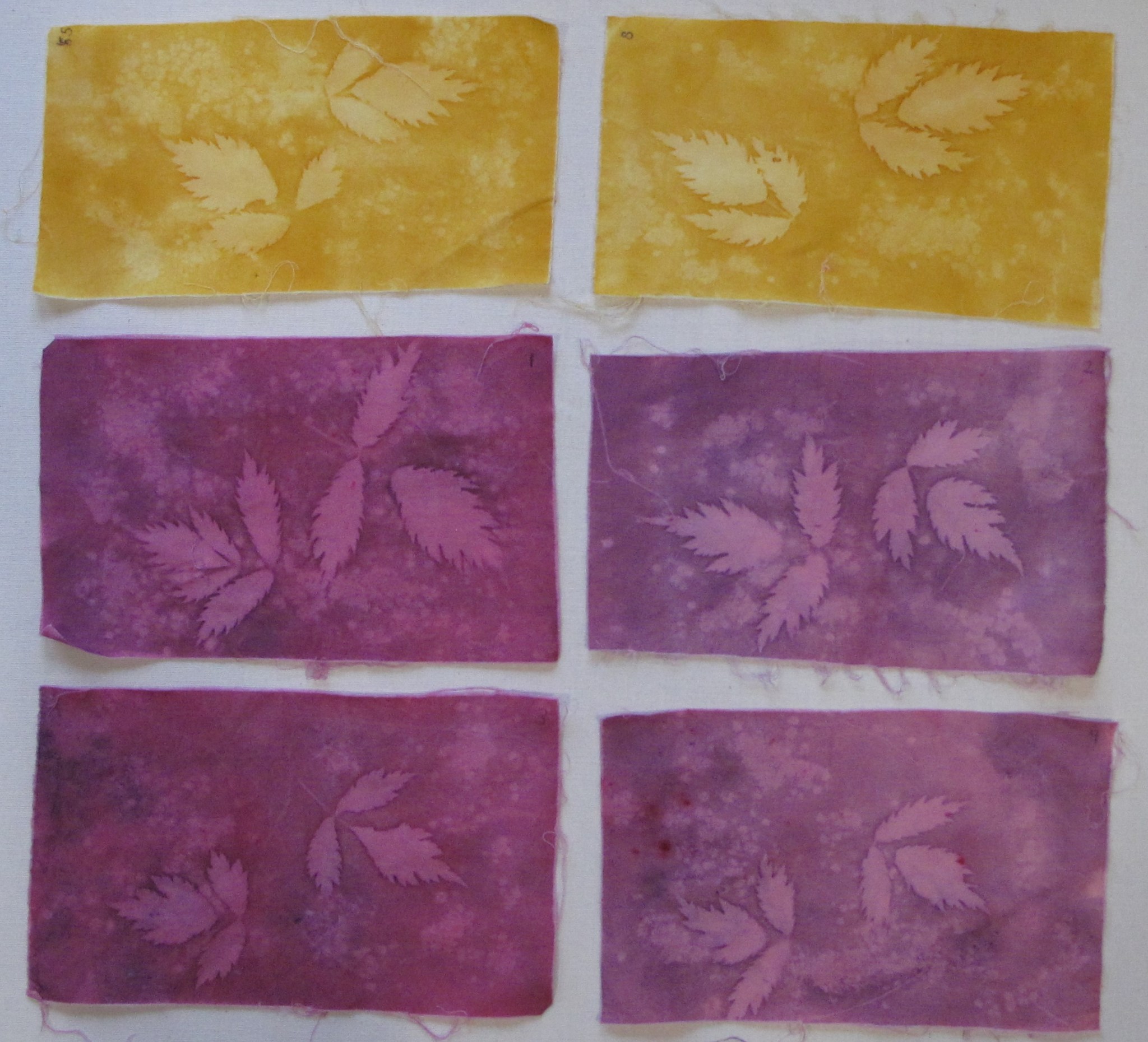 Soda Ash dyeing – Erickson's Heirlooms