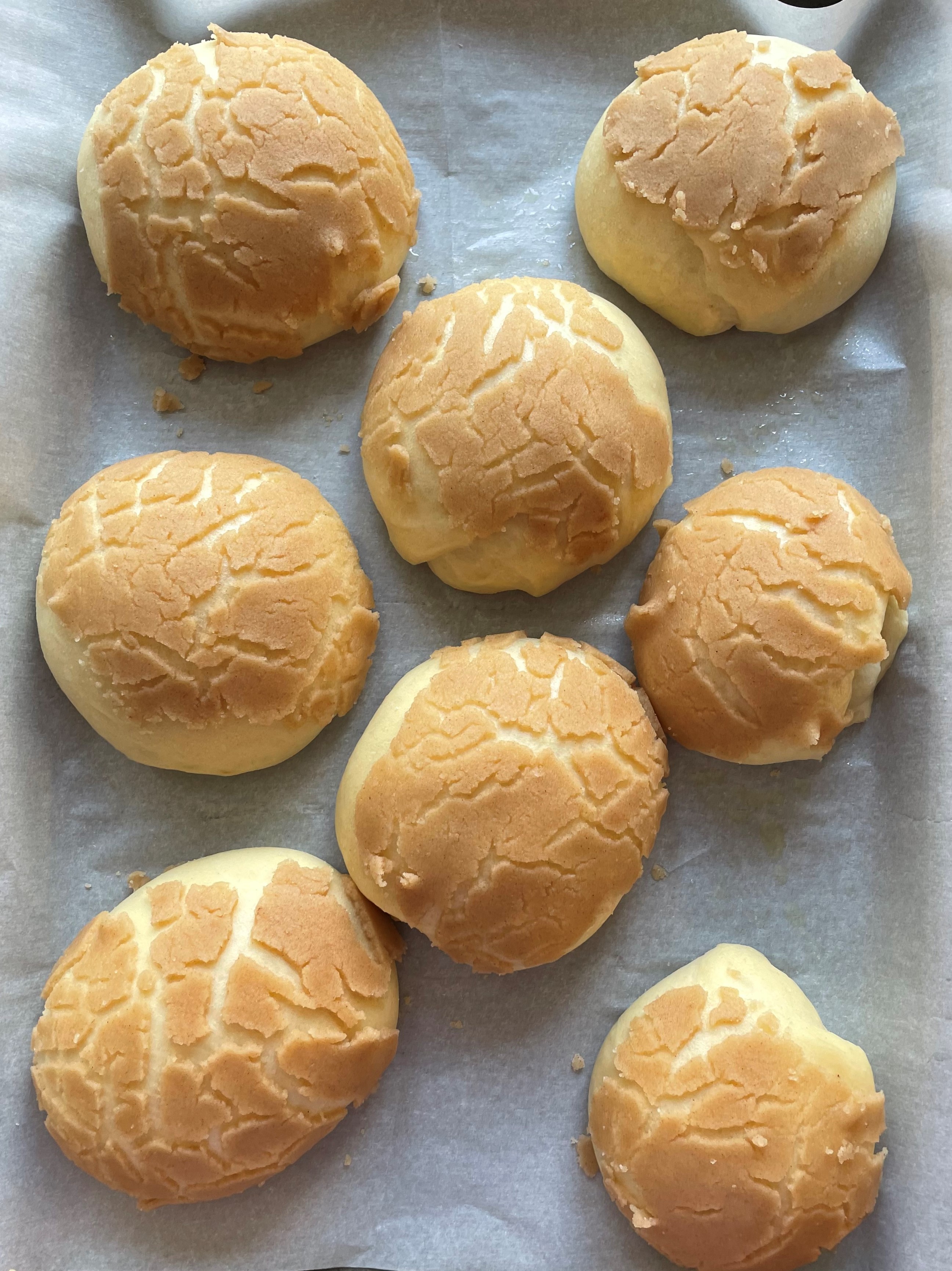 ExtraordinaryBread – Cinnamon Conchas – Erickson's Heirlooms