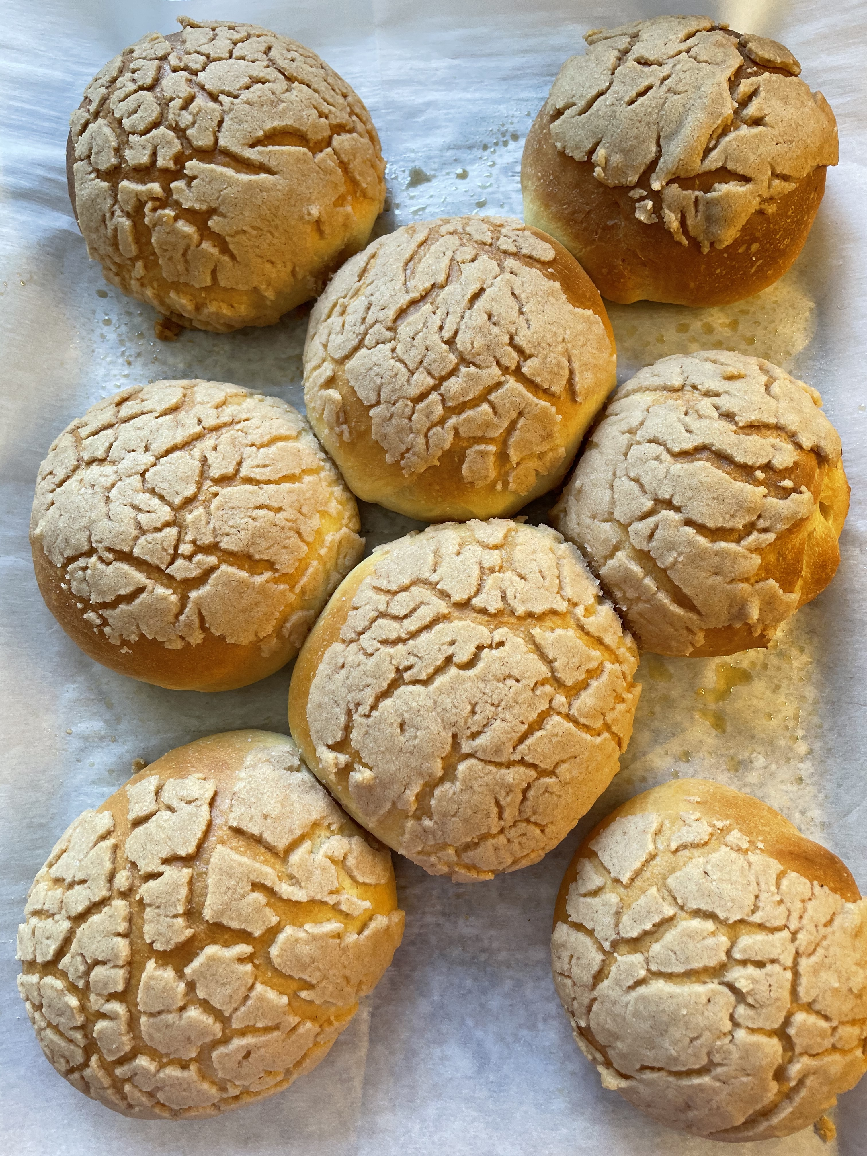 ExtraordinaryBread – Cinnamon Conchas – Erickson's Heirlooms